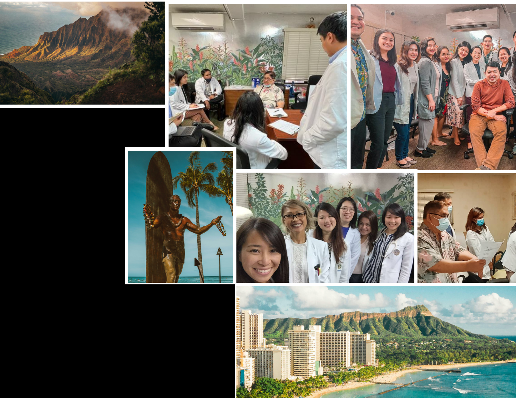 Hawaii Preceptorship Program