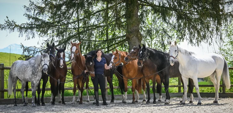 Coaching with Horses — Diana Binder