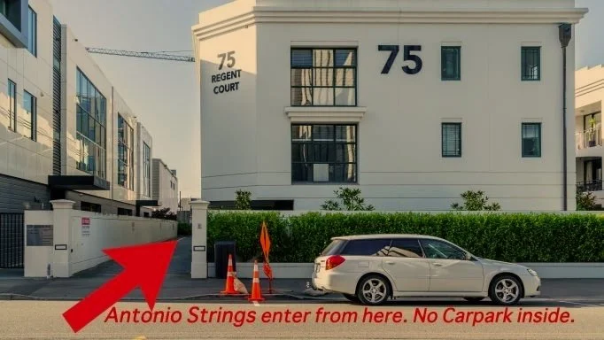 Contact Us — Antonio Strings