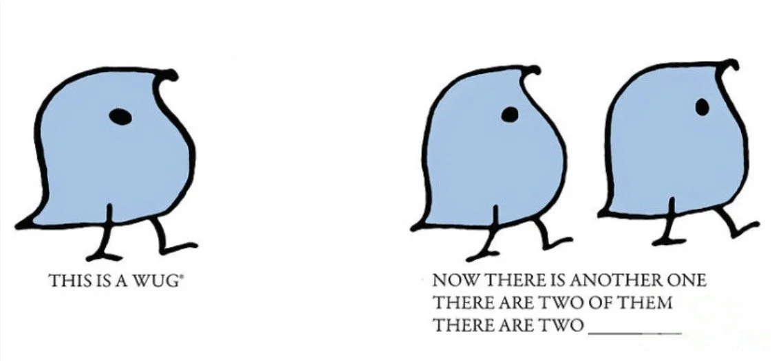 Have You Ever Heard of the Wug Test? — The Multilingual Garden