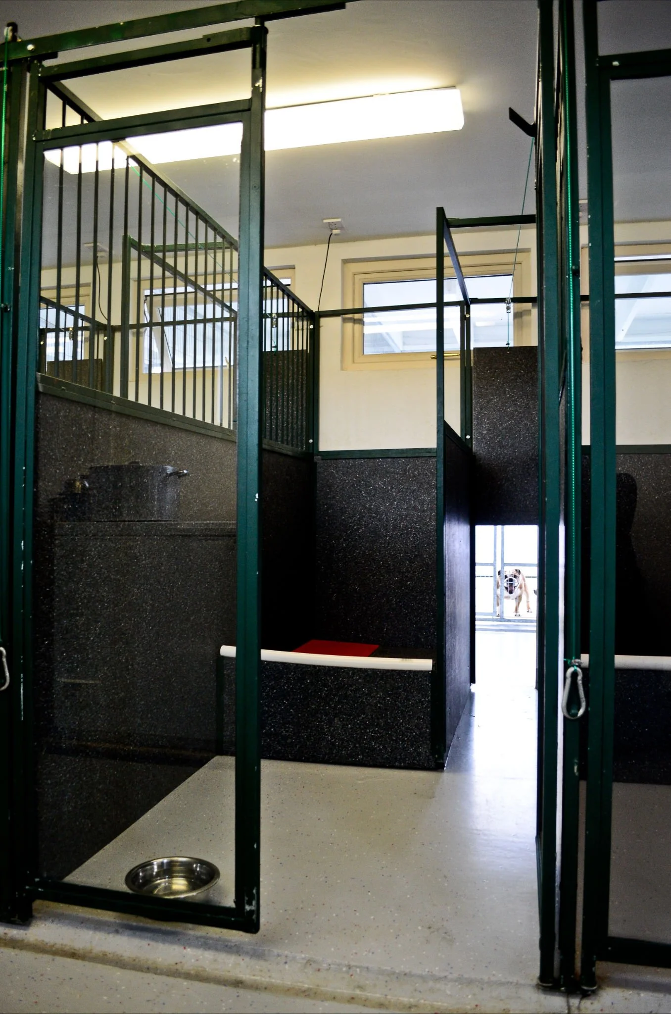 Abbey Boarding Kennels