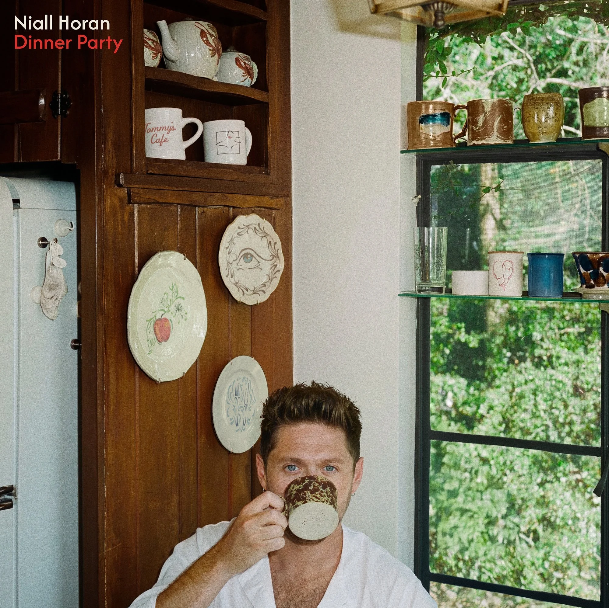 Album Review: Niall Horan "Dinner Party" — Showbiz by PS