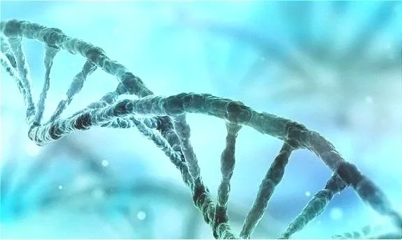 RNU4-2 / ReNU Syndrome