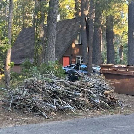 CHIPPING PROGRAM — North Tahoe Fire