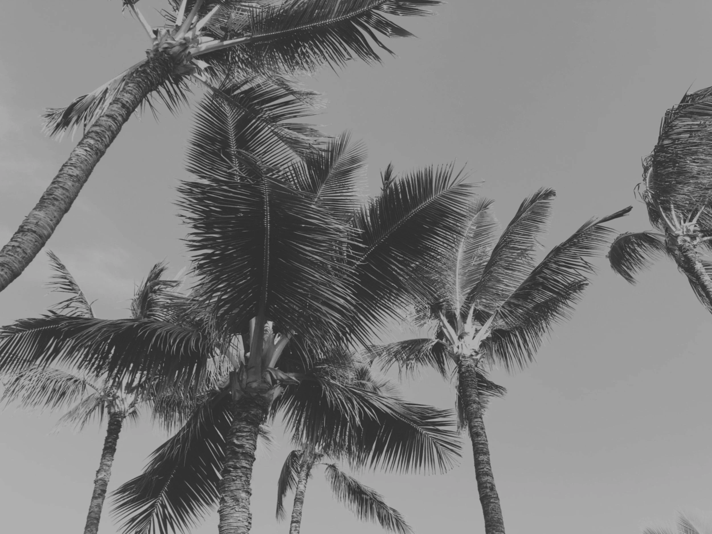 Hawai'i Cord Blood Bank