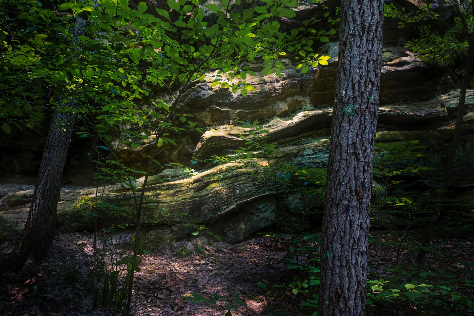 Don Robinson State Park — Brian Norris Photography