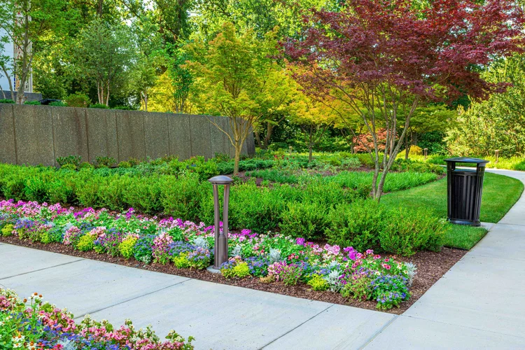www.ruppertgrows.com