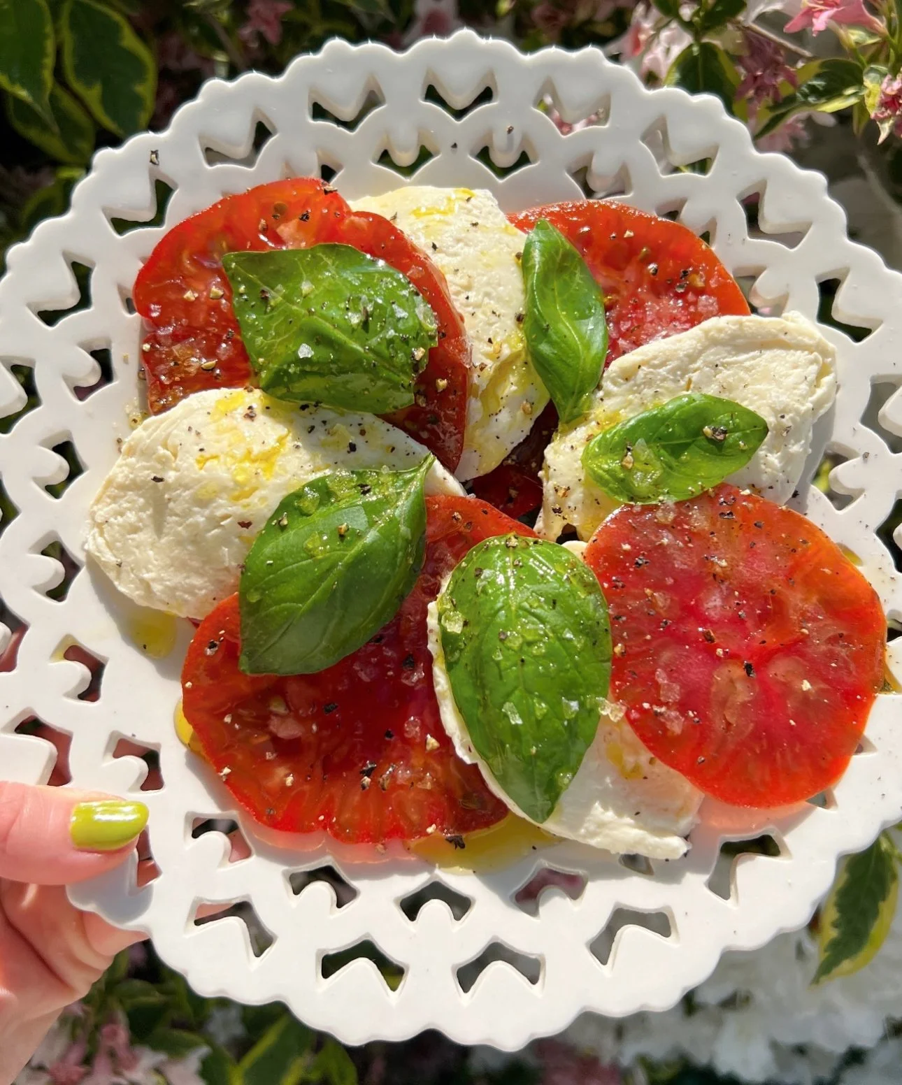 appetizers | Discover Tasty Appetizer Ideas Today — Soko's Kitchen