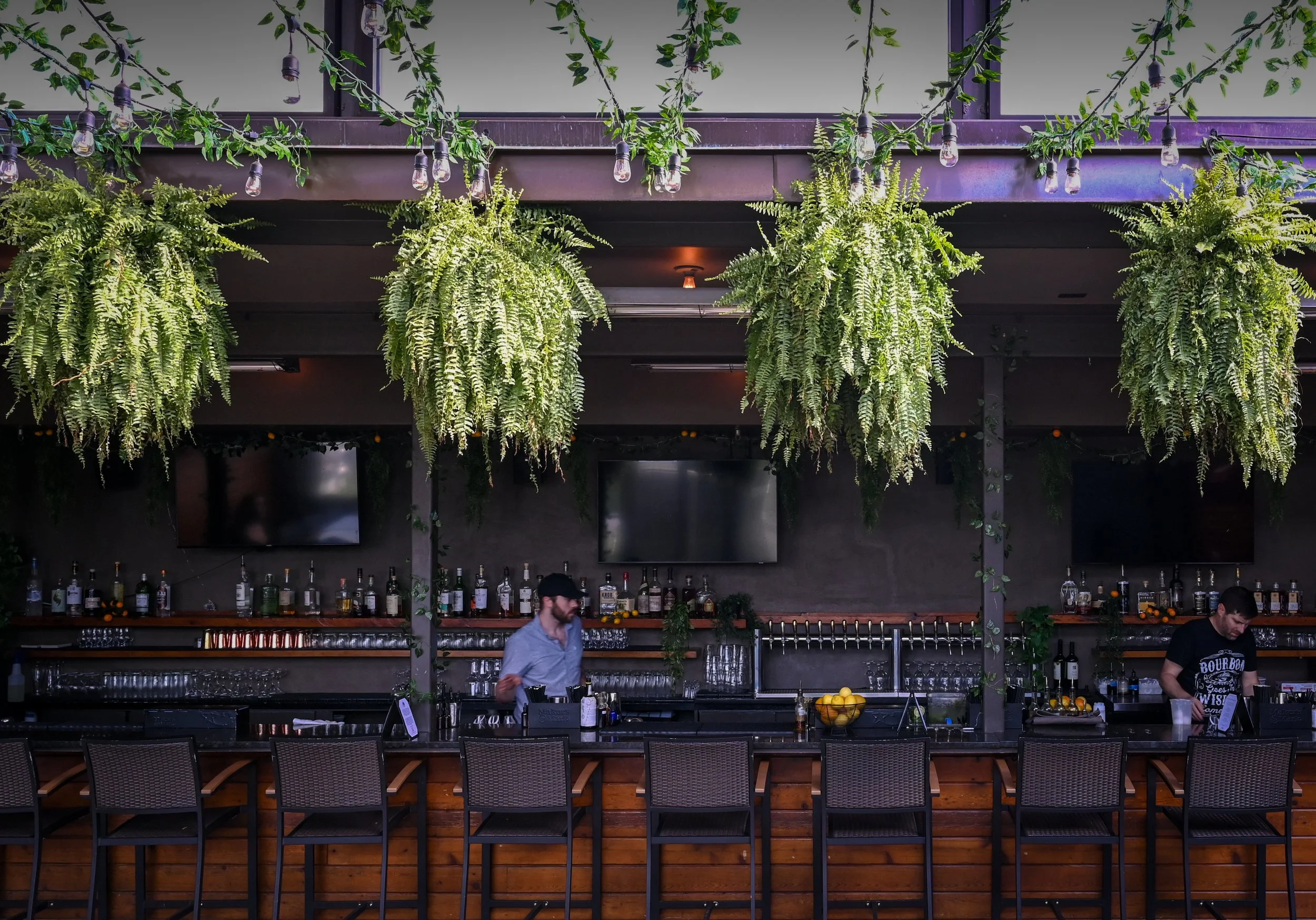 Gallery 3 — Jack Rose Dining Saloon