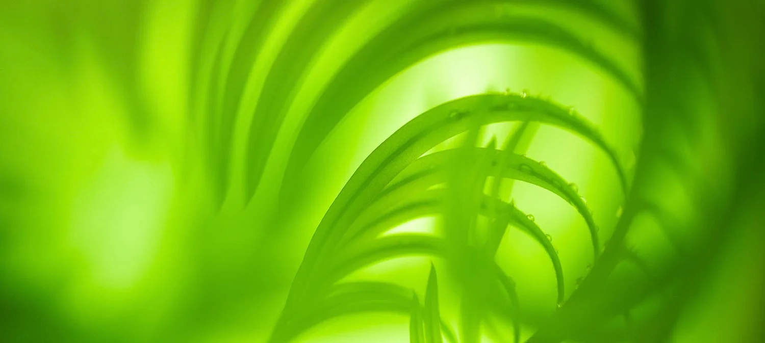 Nokia Scholarship — Nokia Foundation