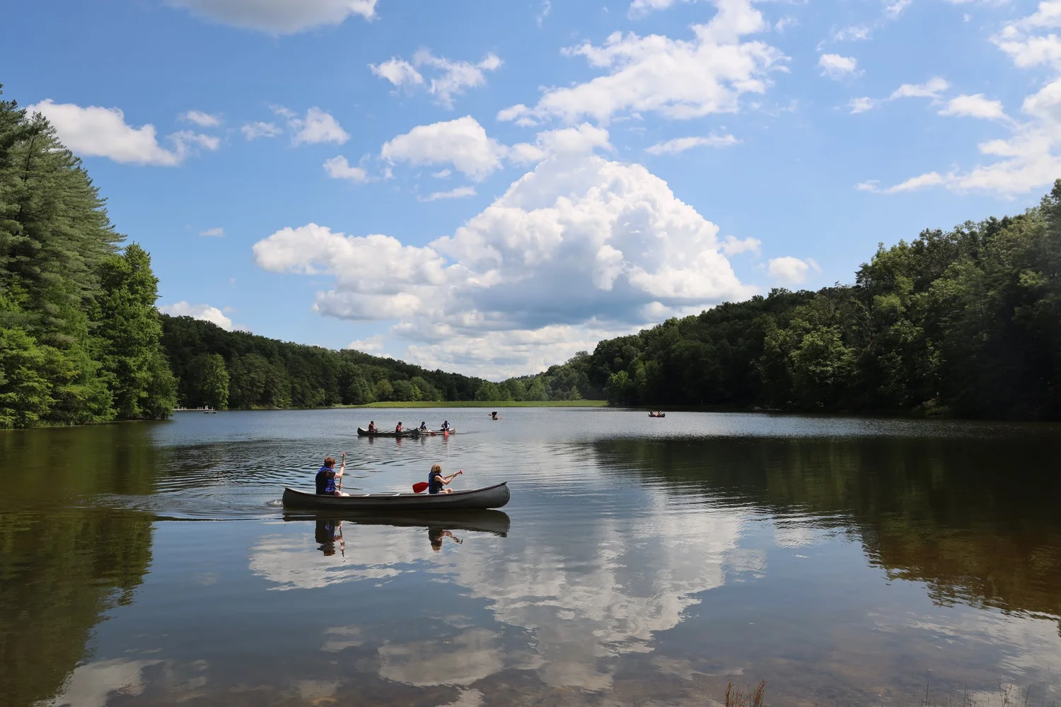 School Year Camps — Happy Hollow Children's Camp