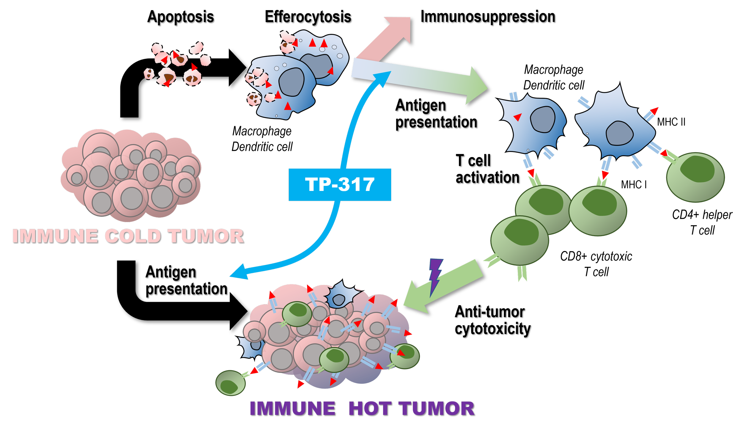 Inflammatory Bowel Disease — Thetis Pharmaceuticals