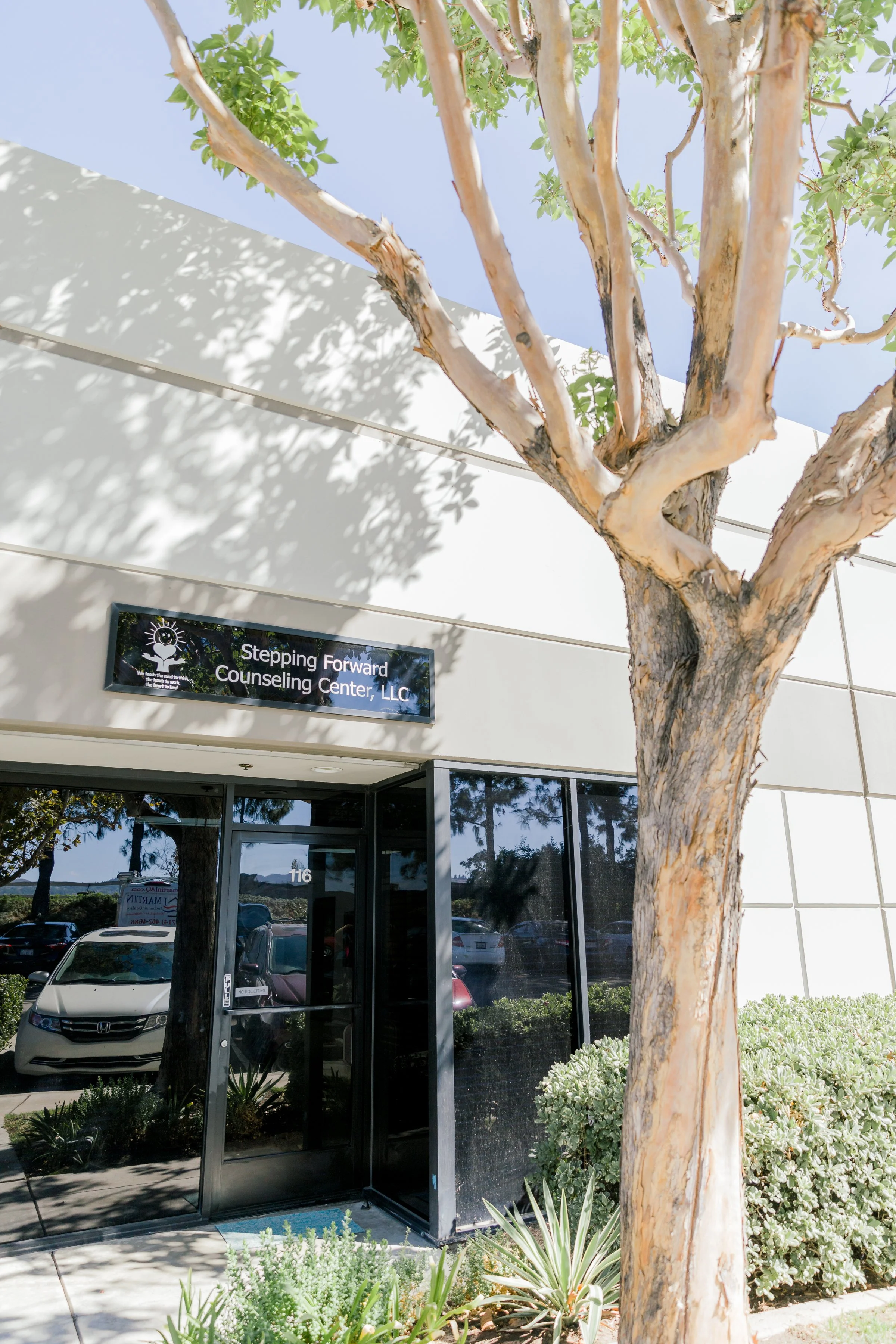 Southern, CA — Stepping Forward Counseling Center