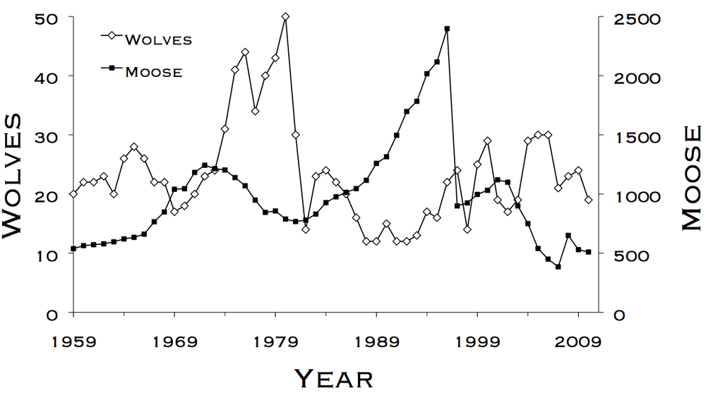 General 3 — Wolf-Moose Project