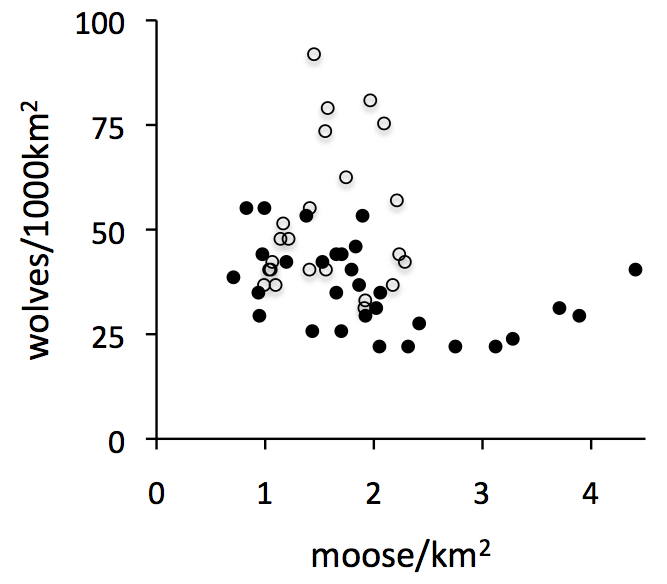 General 3 — Wolf-Moose Project