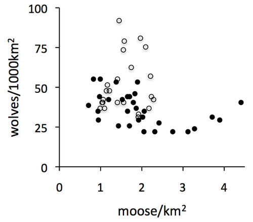 General 3 — Wolf-Moose Project