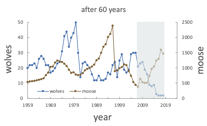 Wolf Moose Timeline — Wolf-Moose Project