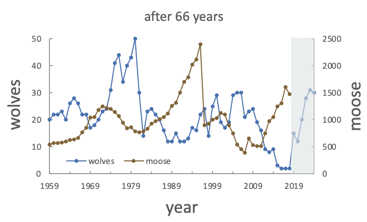 Wolf Moose Timeline — Wolf-Moose Project