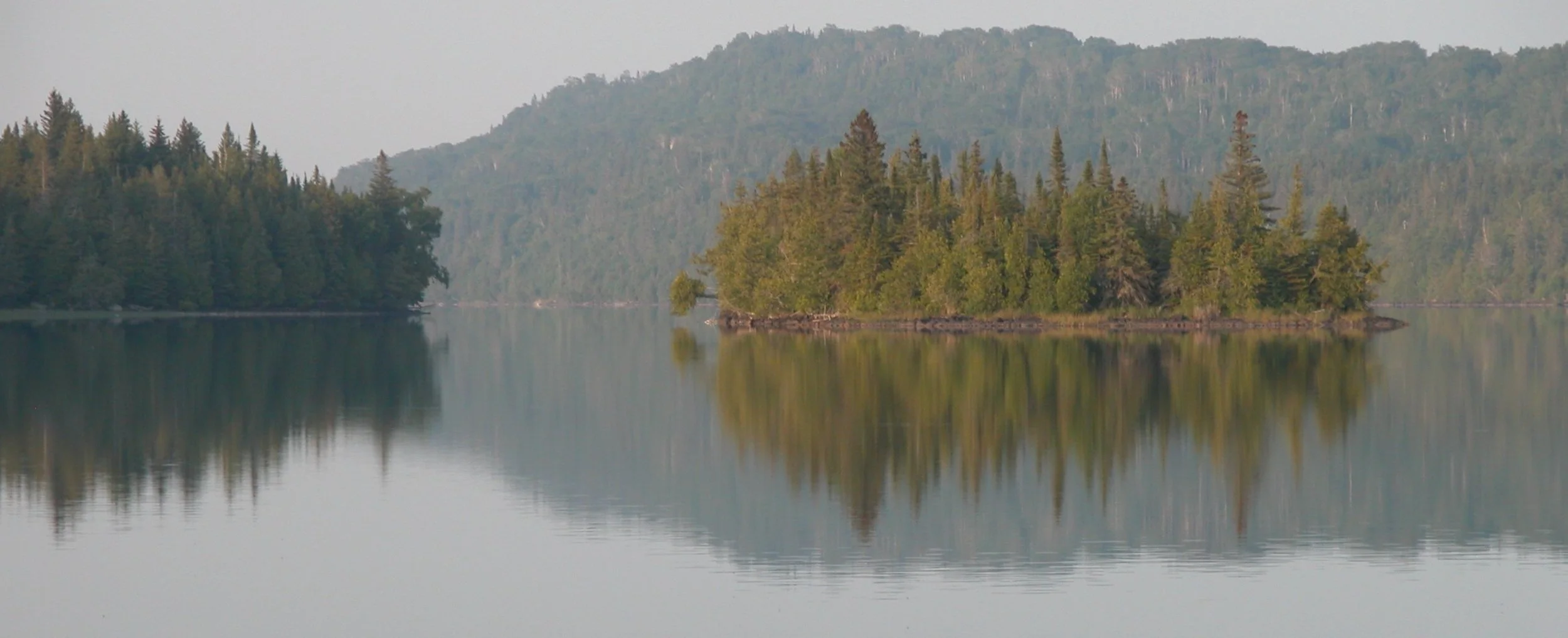 The Study — Wolf-Moose Project