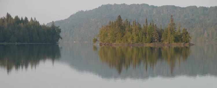 The Study — Wolf-Moose Project