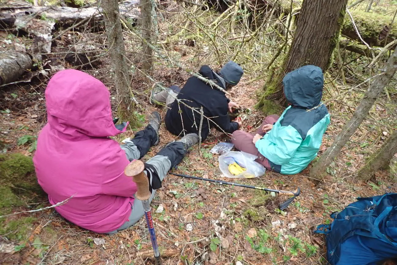 Volunteer - Moosewatch — Wolf-Moose Project