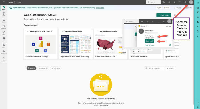 Comparing Power BI Free vs. Pro vs. Premium — Steve Young Creative