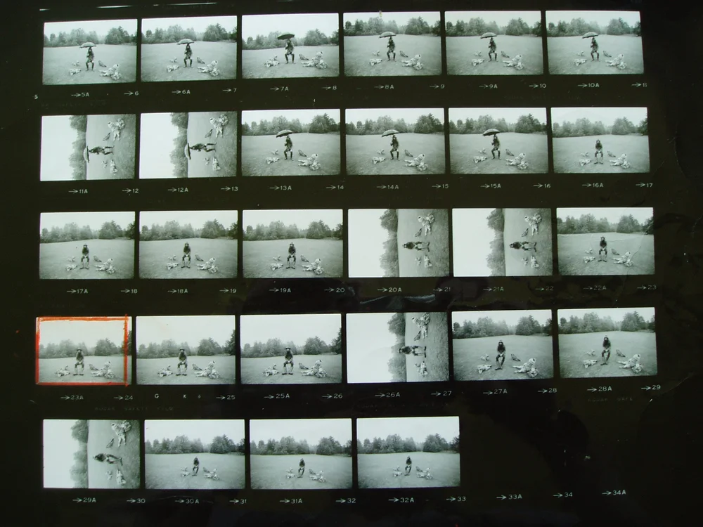 Barry Feinstein Photgraphy