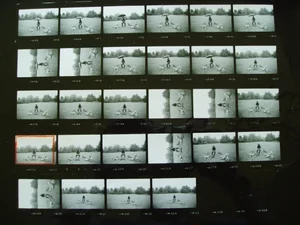 Barry Feinstein Photgraphy