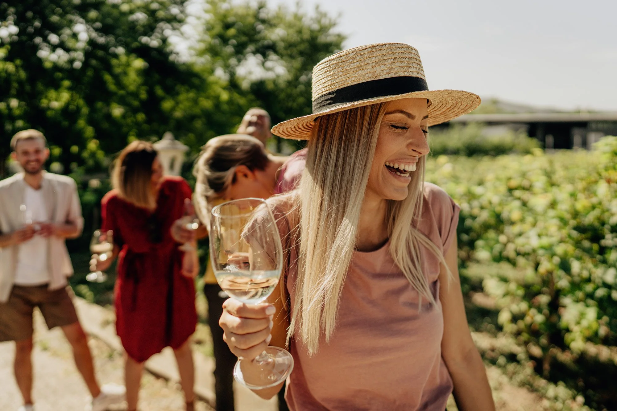 Bespoke wine tasting events for any venue — NV Wines
