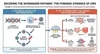 The Shoemaker Protocol: A Forensic Audit of the Standard of Care for ...