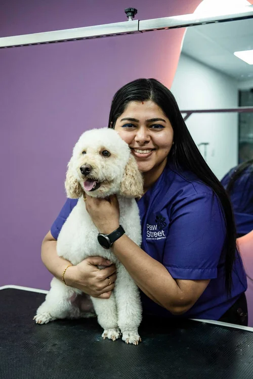 Best Dog & Cat Grooming in Dubai | Boarding and Daycare in Dubai ...