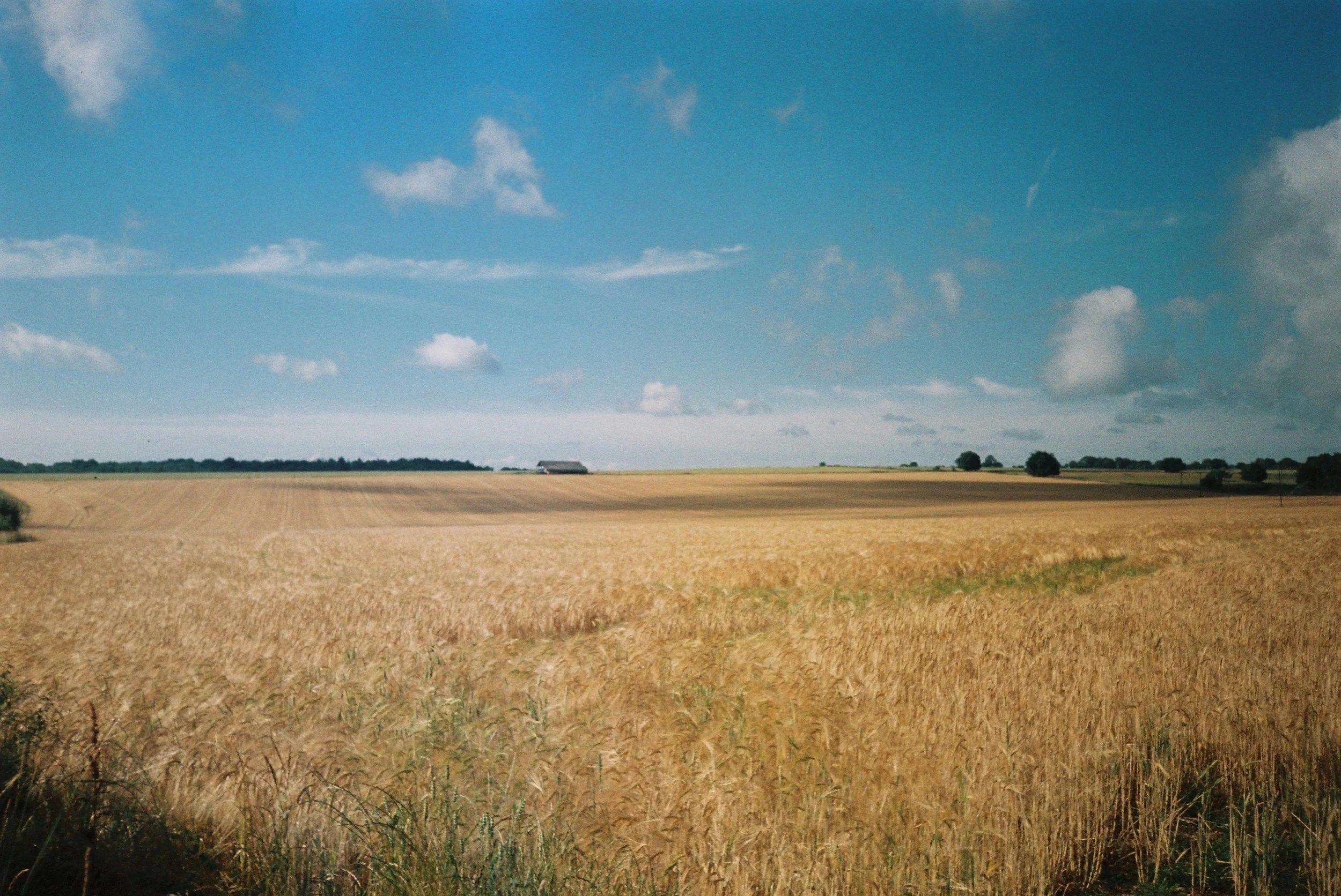 The plastic fantastic Zenit ME35 — cameraholic