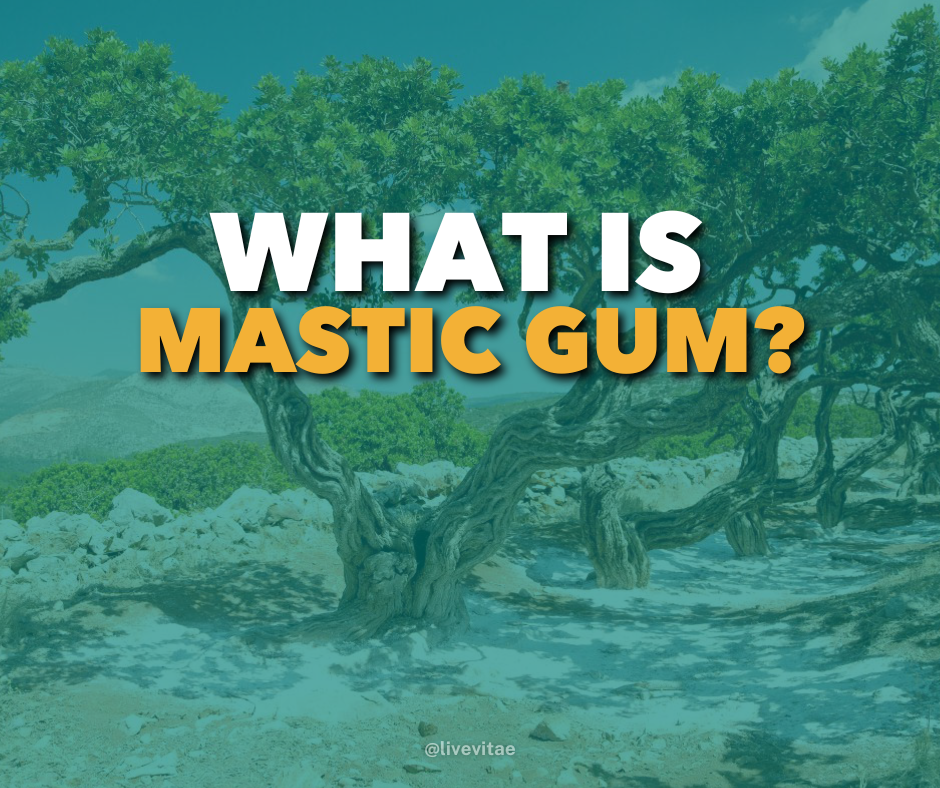 Benefits of Chewing Mastic Gum: Gut, Jaw & Oral Health - Live Vitae