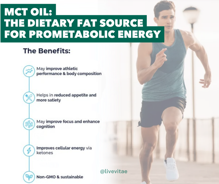 Extra Virgin Olive Oil vs MCT Oil for Fat Loss: Which is Better? - Live ...