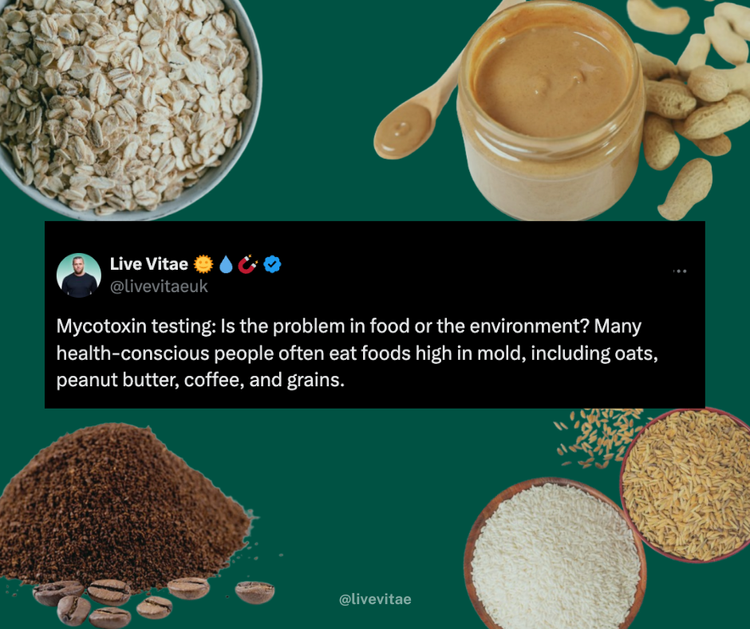 Mycotoxin Testing: Why It Often Misleads (and What to Do) - Live Vitae