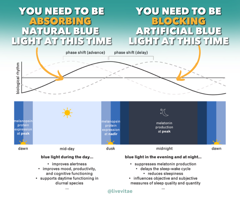Benefits of Blue Light Blocking Glasses: Do They Really Work? - Live Vitae