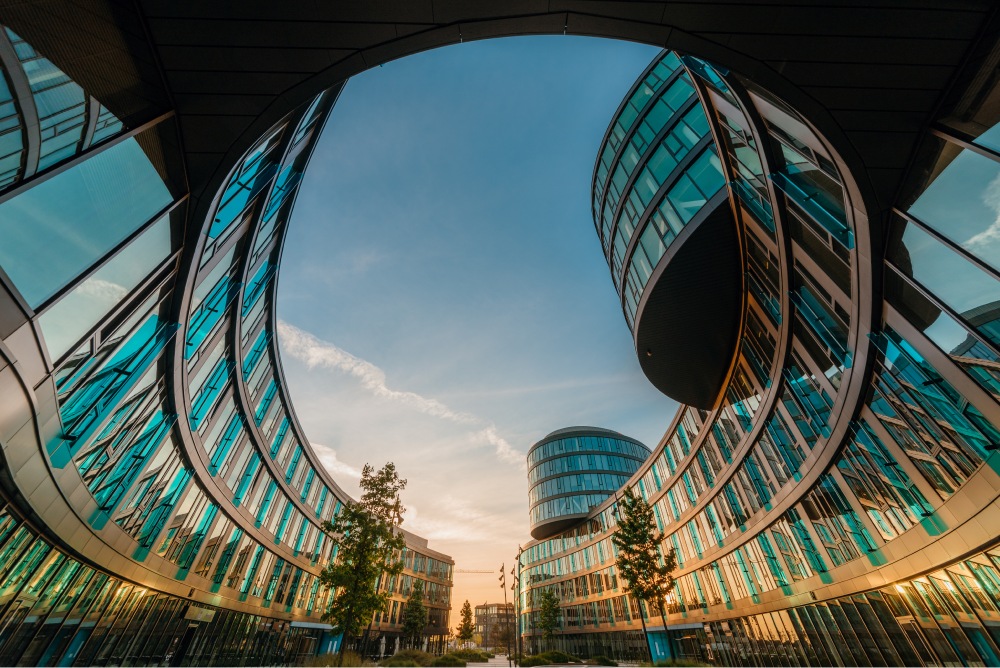 What we do | About — Manova Partners