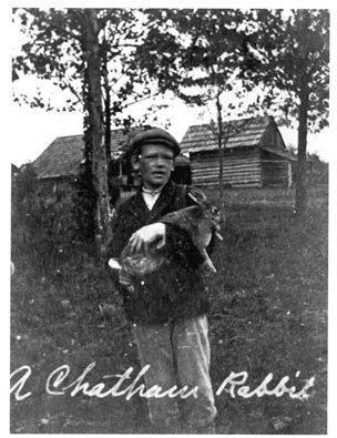 About 4 — Chatham Rabbits