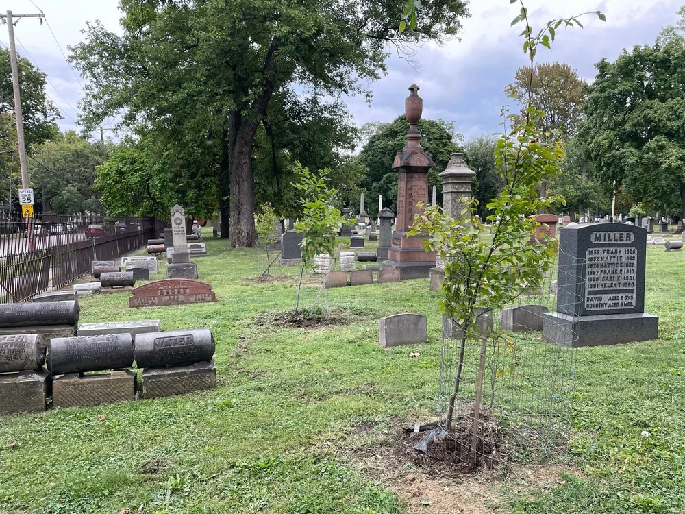 Monroe Street Cemetery Planting — Cleveland Tree Coalition