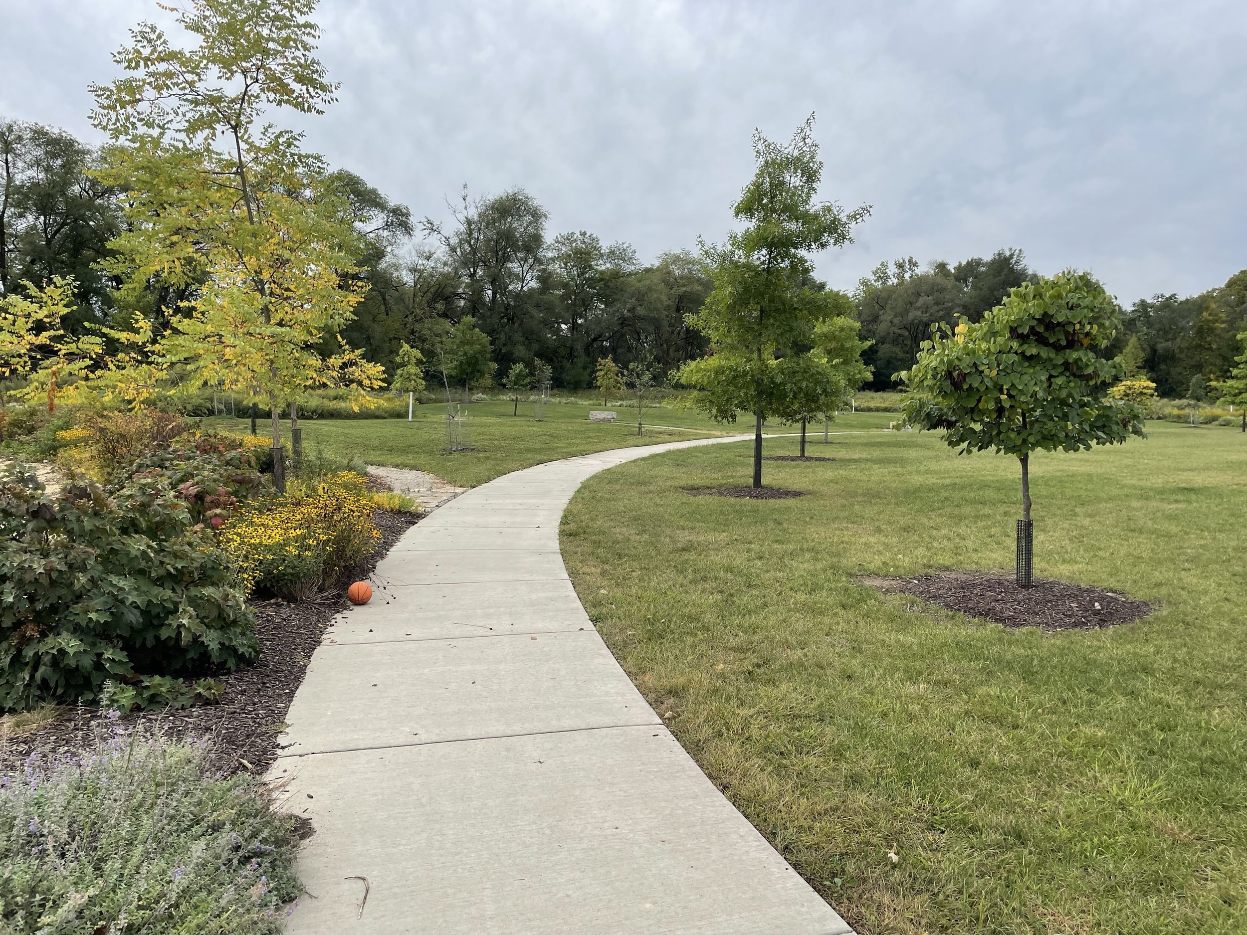 Donate | Support Urban Forest Growth — Cleveland Tree Coalition