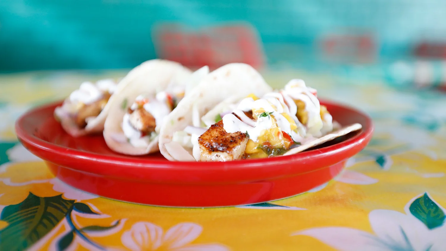 Clancy's Cantina | A 40-year NSB Tradition