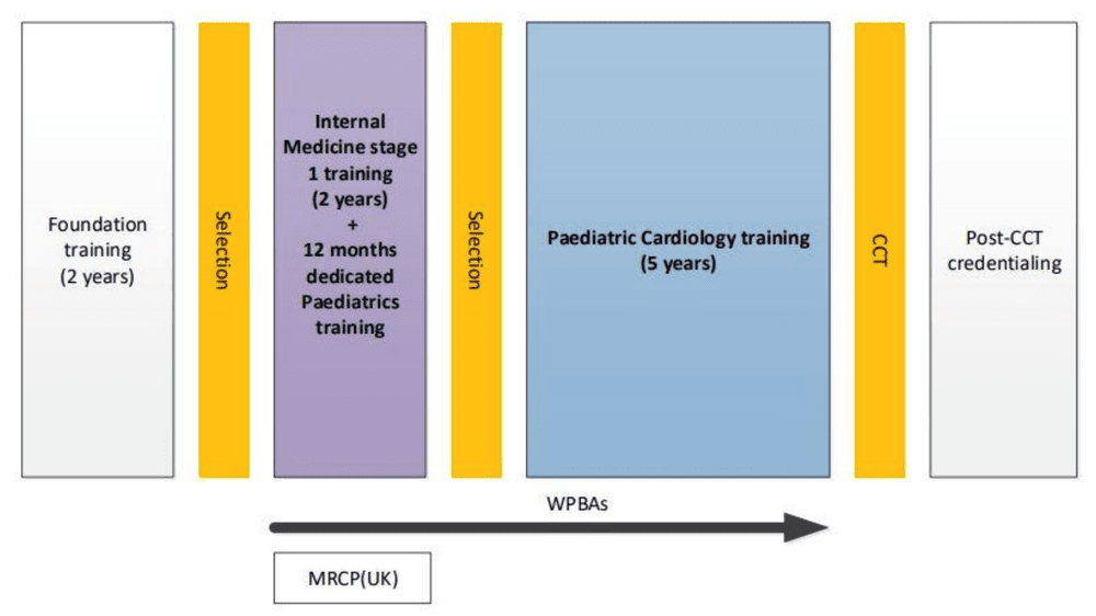 Education and Training — BCCA