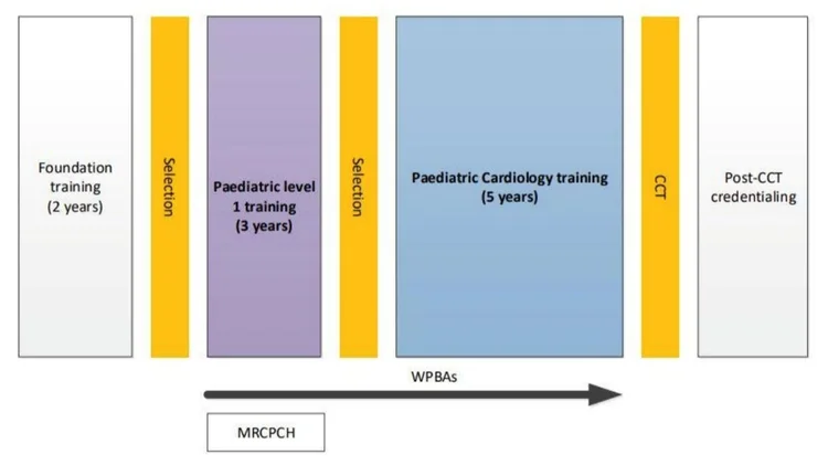 Education and Training — BCCA