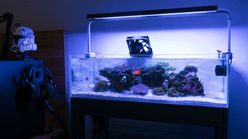 HOW TO SET UP A CANISTER FILTER REEF TANK — Indoor Ecosystem