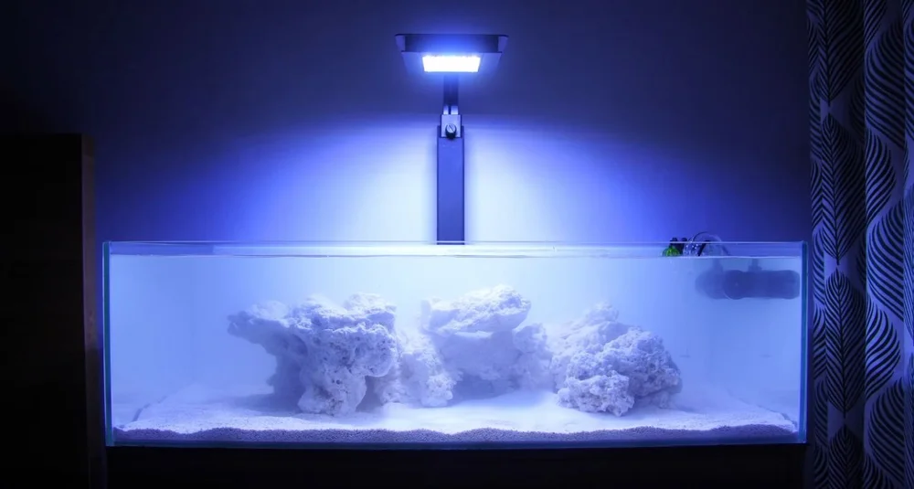 HOW TO SET UP A CANISTER FILTER REEF TANK — Indoor Ecosystem