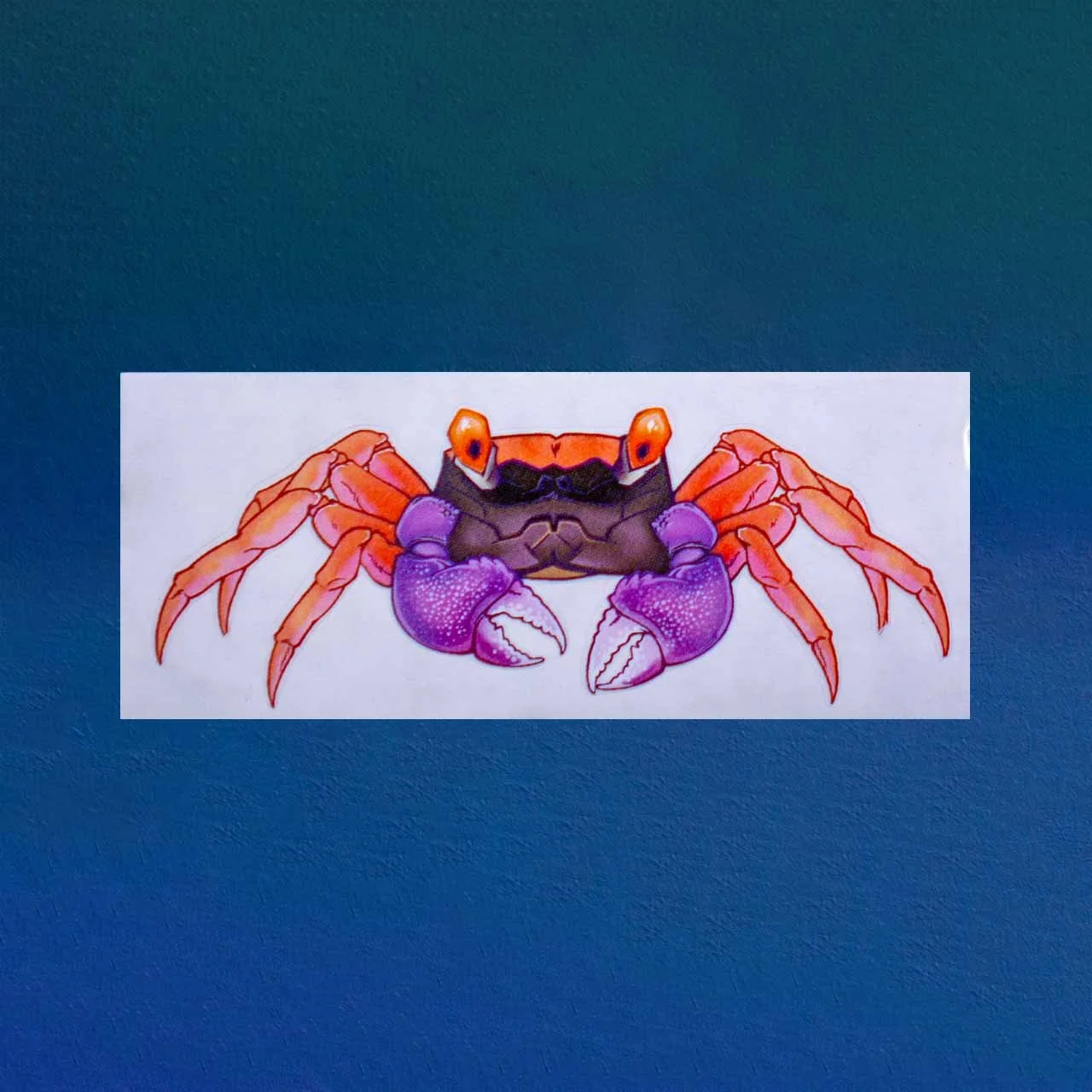 Vampire Crab poster — Indoor Ecosystem