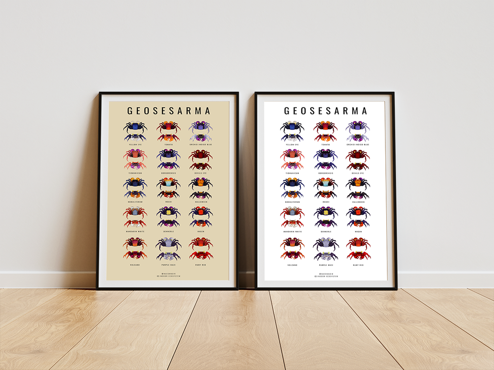 VAMPIRE CRAB SPECIES LIST (GEOSESARMA SPECIES) — Indoor Ecosystem