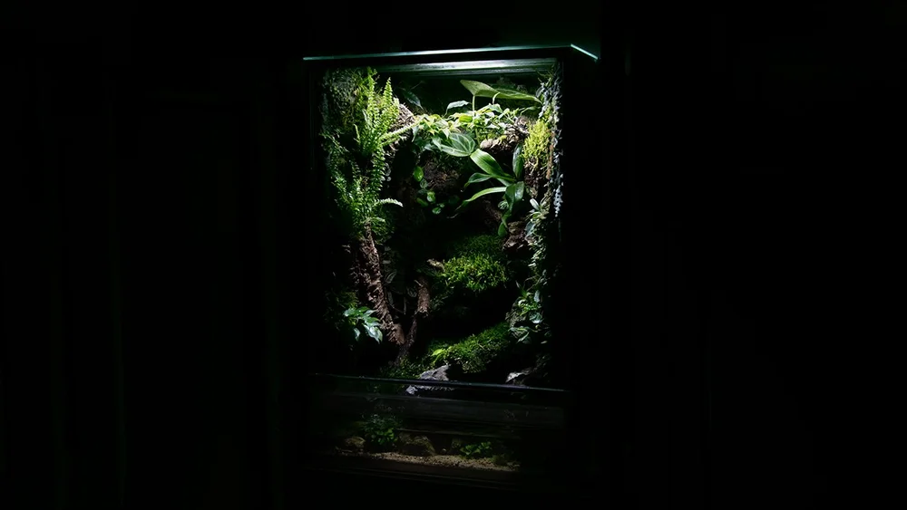 Indoor Ecosystem