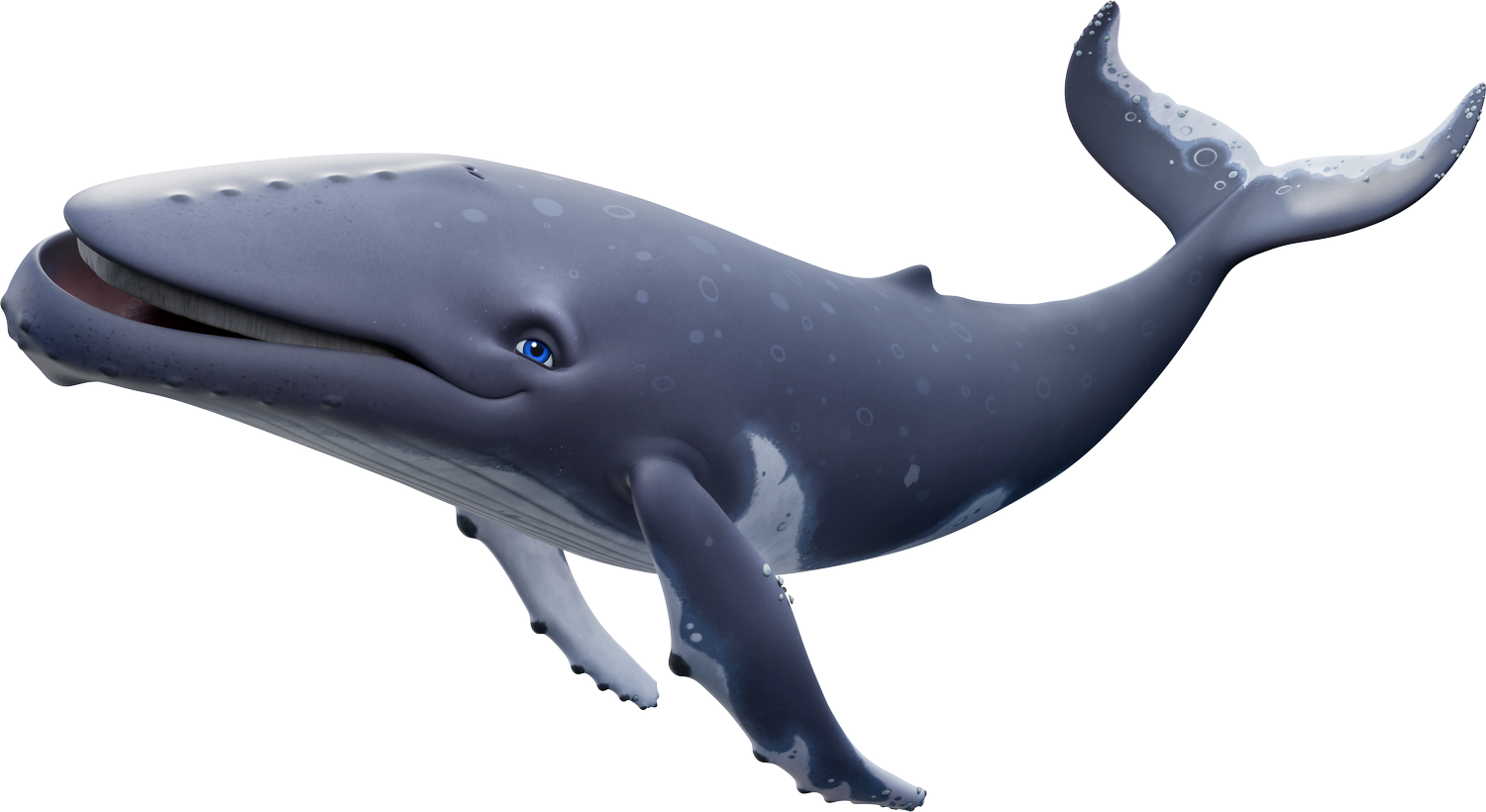The Last Whale Singer - Feature Film | Discover The Song Within ...