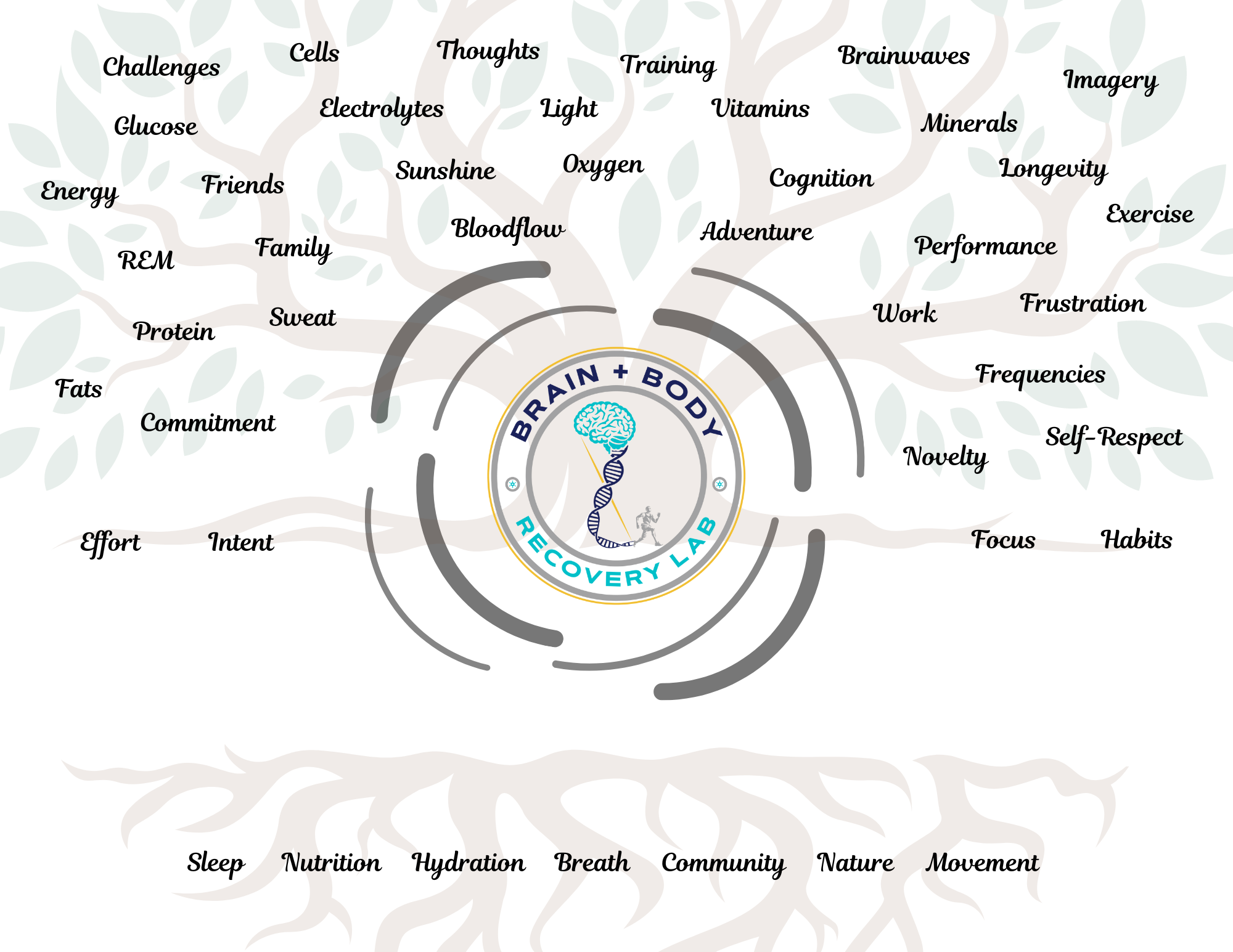 Evergreen Brain & Body Recovery Lab